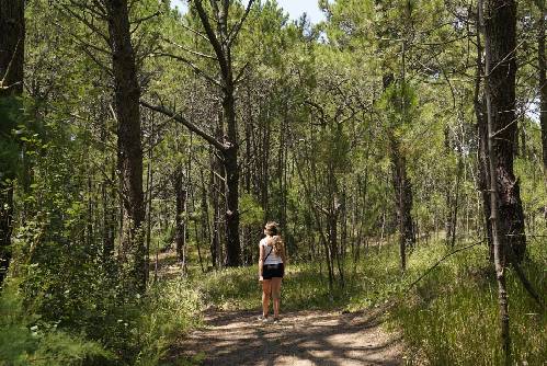 Qué hacer en Pinamar: actividades para disfrutar en el año
