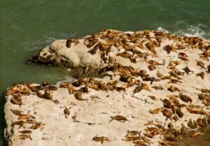 Qué hacer en Comodoro Rivadavia: naturaleza, mar y paseos para todo el año